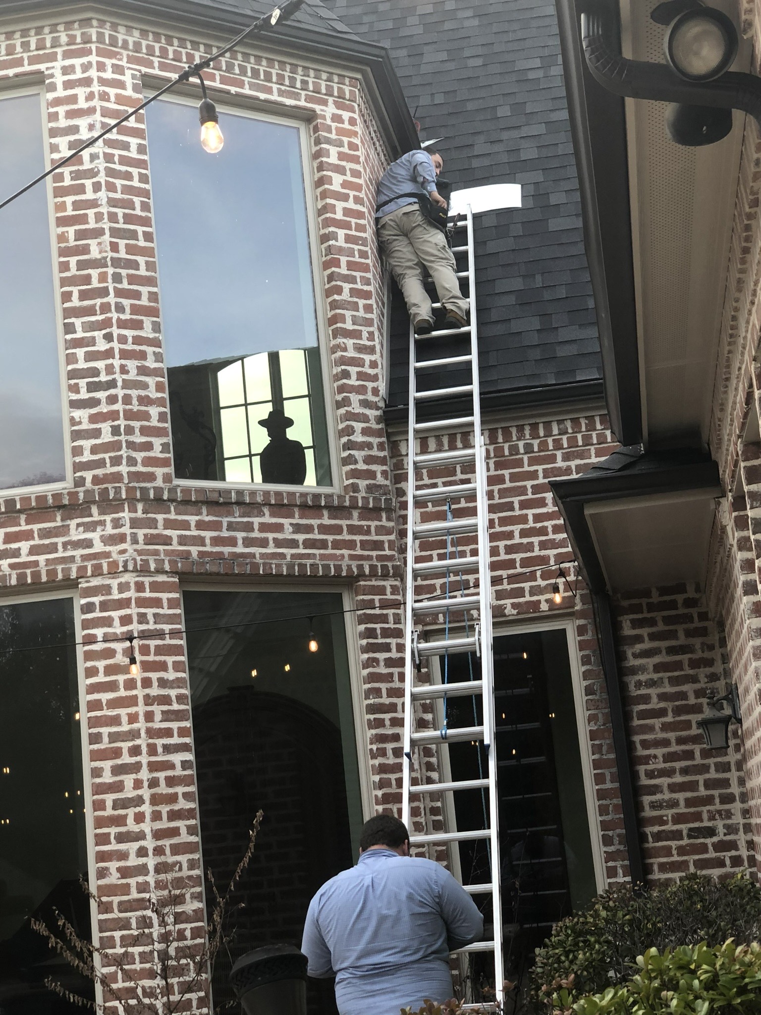 Rodent Control